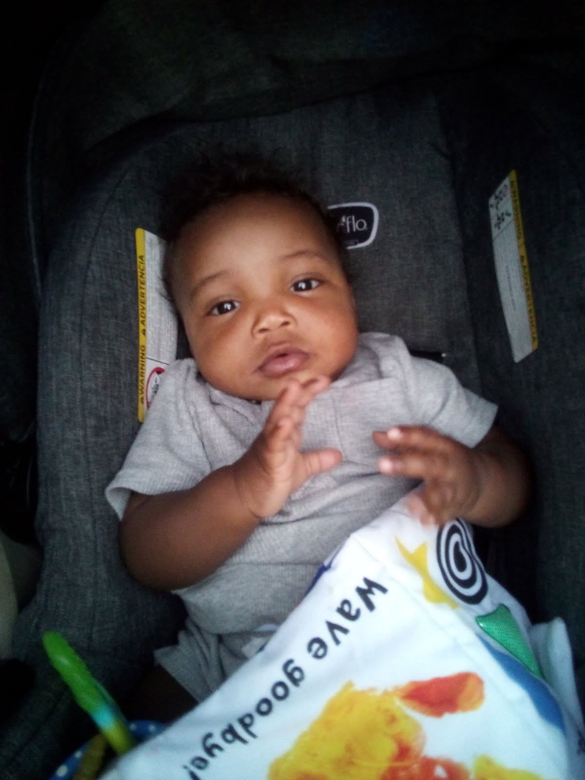 FlashAlertPortland - Press Releases